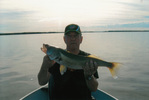 Ray Schaak View Condolences - Winnipeg, Manitoba | Neil Bardal Funeral ...